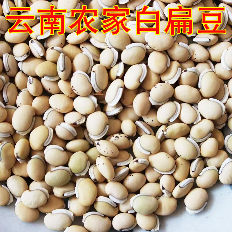 白扁豆云南农家特产食用黑边白扁豆老品种药用白扁豆新货