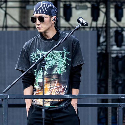 Evolution谢霆锋进化深圳演唱会同款周边水洗短袖T恤锋迷应援夏