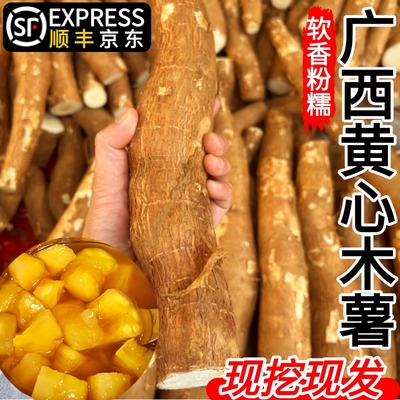 黄心木薯新鲜正宗黄肉面包木署羹广西粉糯糖水店无毒不需要泡水