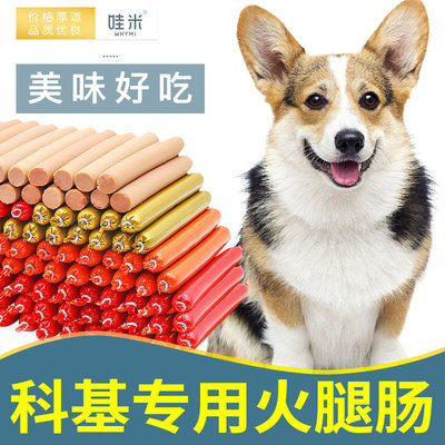 柯基幼犬专用零食火腿肠
