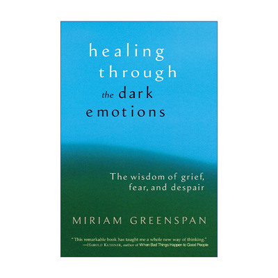 英文原版 Healing through the Dark Emotions 治愈黑暗情绪 走出悲伤 抑郁 恐惧与绝望的智慧国际知名心理治疗师Miriam Greenspan