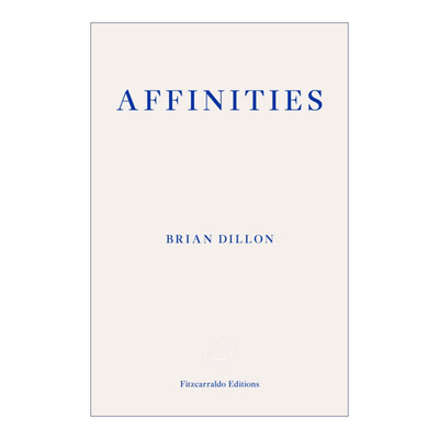 英文原版 Affinities 亲和力 论艺术与魅力 布莱恩·狄龙 英文版 进口英语原版书籍