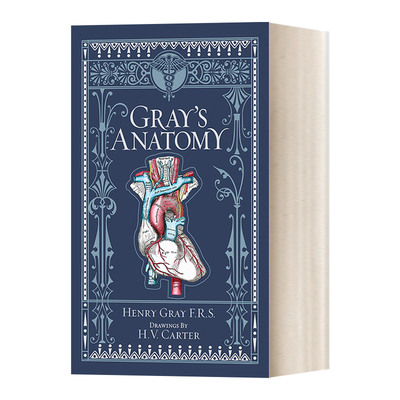英文原版 Gray's Anatomy 格氏解剖学  巴诺经典 皮革精装收藏版  人体表面解剖图册解说展示 英文版 进口英语原版书籍