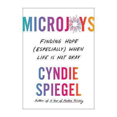 英文原版 Microjoys 微快乐 辛迪·斯皮格尔 精装 英文版 进口英语原版书籍