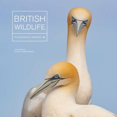 现货British Wildlife Photography Awards 10 《英国野生动物摄影奖精选集10》