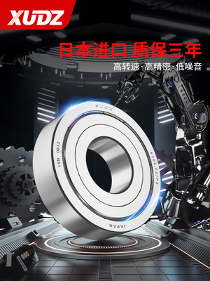日本进口免维护轴承型号大全6306电机6307 6308 6309 6310 6311RS