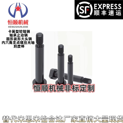 MIE01/MIE11-D12-22/24/25/30/35/40/45/50带肩铰链销 螺帽固定型