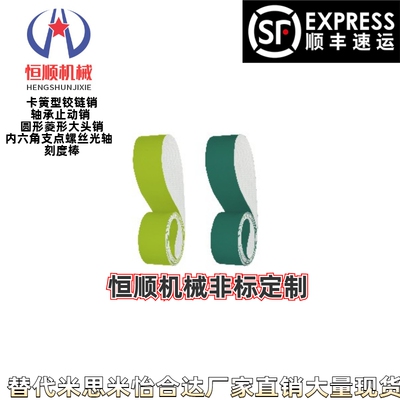 EMS01/02/03/04/05/0/07/08/09-W10/20/30/50平皮带进口型普通用