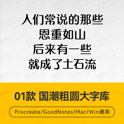 Procreate/Win/GoodNotes/Mac 国潮粗圆大字库字体安装包自动发货