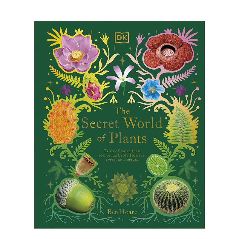 【现货】英文原版 植物世界的奥秘The Secret World of Plants 自然科普 艺术插画绘本 Treasures 儿童进口图书 善优童书 DK