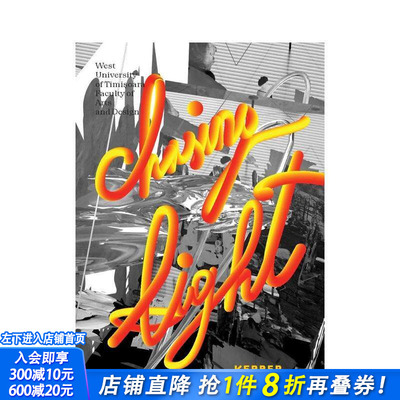 【预售】追光之旅 Chasing Light 原版英文艺术画册画集 正版进口书