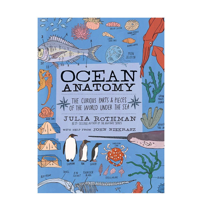 【预售】英文原版海洋解剖学 Ocean Anatomy自然 Julia Rothman插画科普读物鱼类、鲨鱼、海藻、珊瑚礁、海豹进口正版书籍_虎窝淘