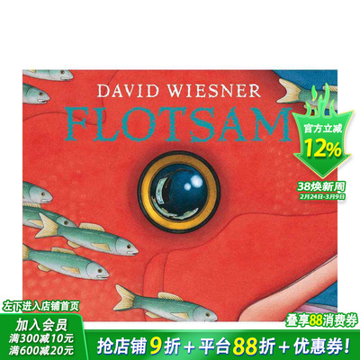 【预售】絮状物1 Flotsam: 1 英文儿童插画科普故事绘本 进口童书