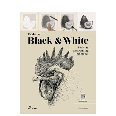 【现货】探索黑白：绘画技巧 Exploring Black & White: Drawing and Painting Techniques 原版英文艺术画册画集