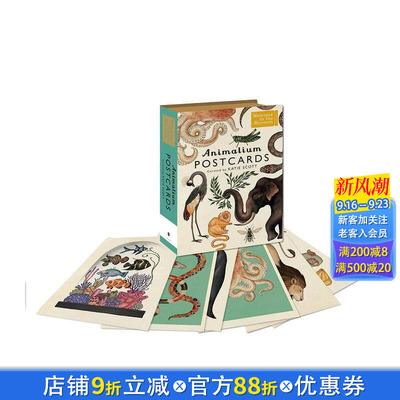 【预售】【欢迎来到博物馆】：动物园明信片 Animalium Postcards: (Welcome To The Museum) 原版明信片 正版进口书
