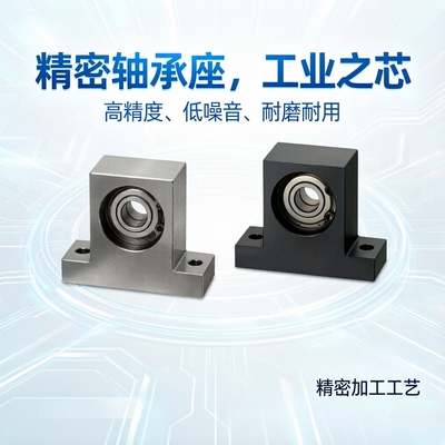 T型双轴承座组件BGMW/600