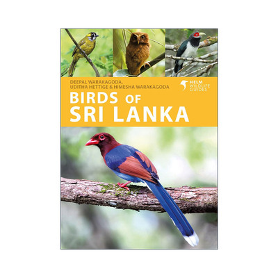 英文原版 Birds of Sri Lanka 斯里兰卡鸟类图鉴 英文版 进口英语原版书籍