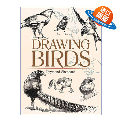 英文原版 Drawing Birds Dover Art Instruction 鸟类绘画指南 英国插画家Raymond Sheppard 英文版 进口英语原版书籍