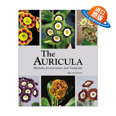 英文原版 Auricula History  Cultivation and Varieties 报春花 耳叶报春 金雀花 历史 栽培和品种 精装英文版进口英语原版书籍