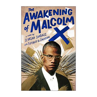 英文原版 The Awakening of Malcolm X 马尔科姆·X的觉醒 英文版 进口英语原版书籍