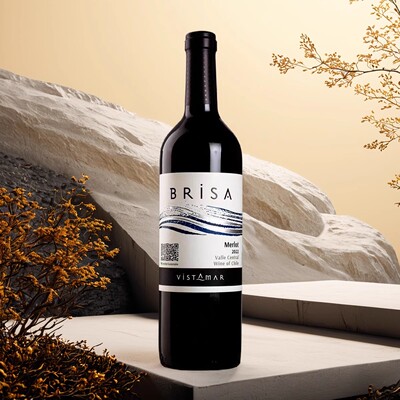 特价维斯特玛美乐/梅洛红葡萄酒 VistamarBrisa Merlot 750ml2019