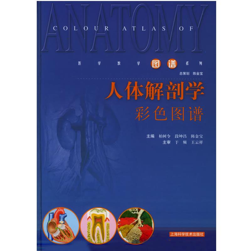 【正版书】 人体解剖学彩色图谱—医学教学图谱系列 柏树令,段坤昌,陈金宝 主编 上海科学技术出版社