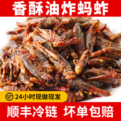 香酥蚂蚱油炸开袋即食