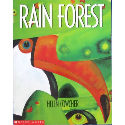 英文原版图书雨林科普绘本