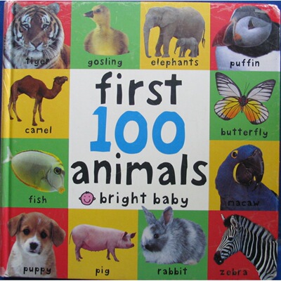 英文原版图书幼儿动物认知绘本