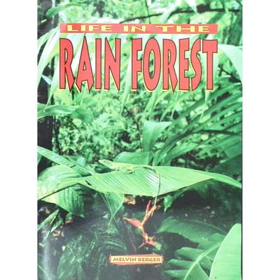 英文原版图书雨林生态科普绘本