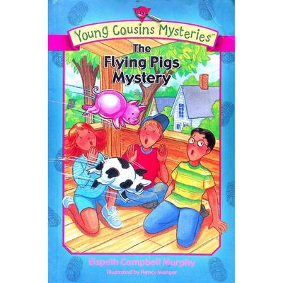 英文原版图书飞猪谜团侦探童书