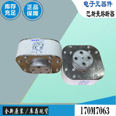 巴斯曼170M7060170M7061保险丝