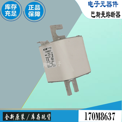 巴斯曼170M8633170M8634保险丝