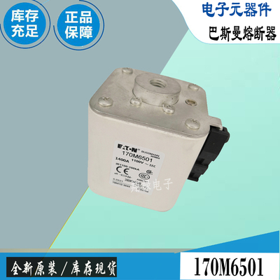 巴斯曼170M6508170M6509保险丝