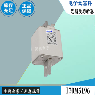 巴斯曼170M4197170M5188保险丝