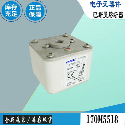 巴斯曼170M5564170M5565保险丝