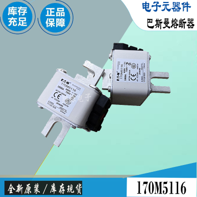 巴斯曼170M5108170M5109保险丝