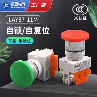 蘑菇头按钮开关自锁/自复位