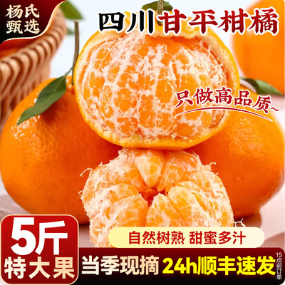 顺丰四川甘平柑橘皇后当季新鲜现摘正宗水果蜜桔子橘子特大果包邮