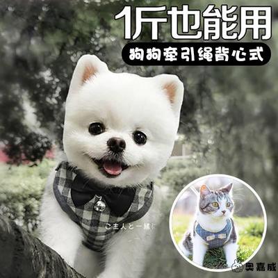 牵引绳吉娃娃狗狗体型背心背带小