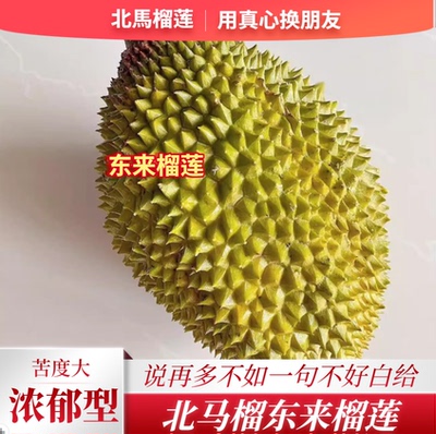 北马榴【树熟液氮】马来西亚D232东来榴莲带苦浓郁回甘奶味十足