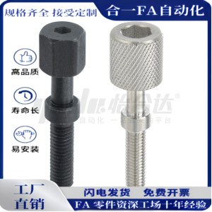 调整螺栓PAZ31/32/36-M3/M4/M5/M6/M8/M10/M12/M16-L20/L30