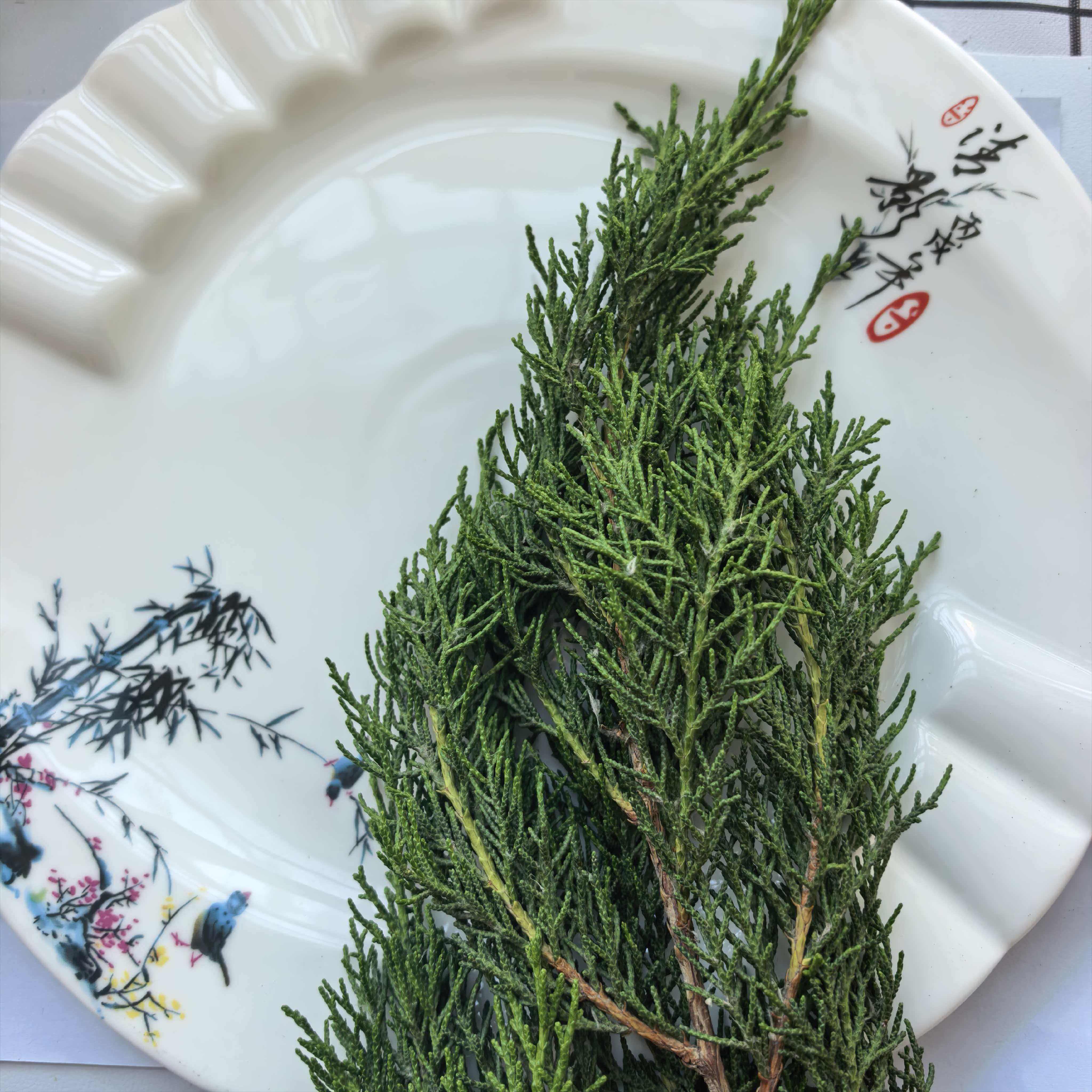 圣诞松果干花圣诞树DIY装饰材料摄影橡果棉花艺花环花束配饰混搭