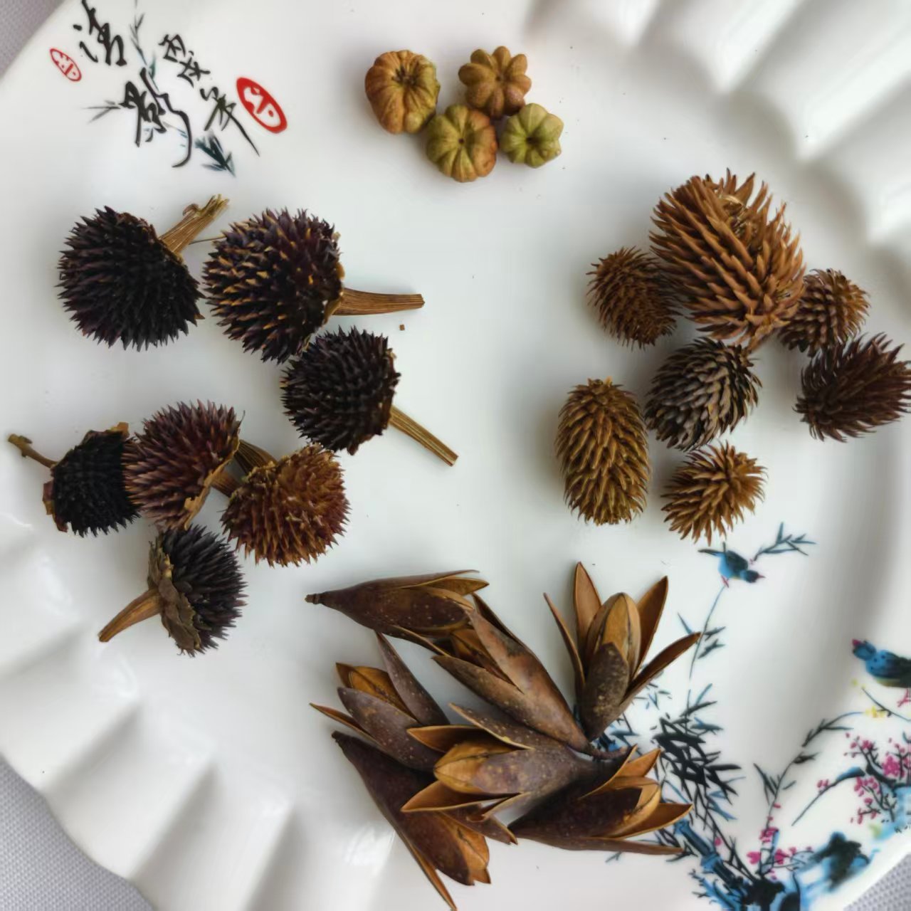 【各种果实类干花】圣诞果实类装饰品干花干果植物果实DIY橡果