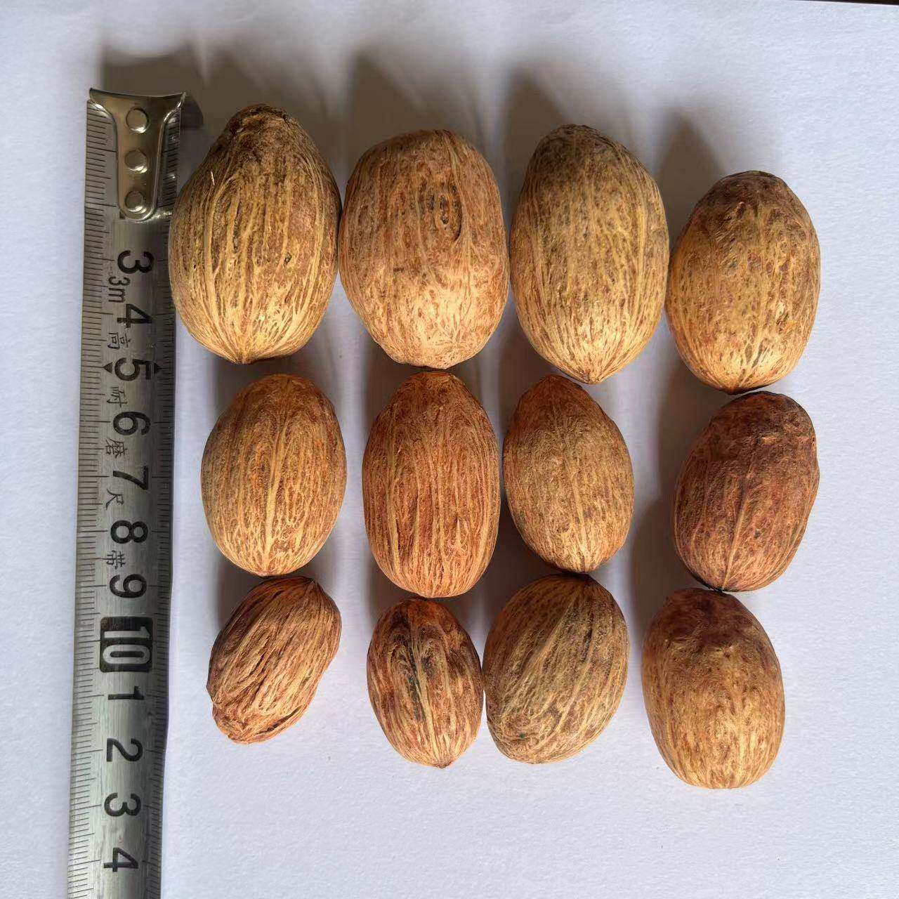 天然木芒果手工DIY香薰包材料永生花配件拍摄木芒果鸟啃咬玩具