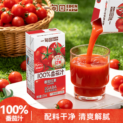 一甸园100%FC番茄汁小包装125mL