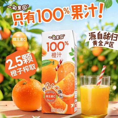 一甸果园100%橙子果汁200mL*10盒