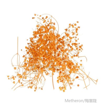 1 Box Filling Flower Dry Handmade Flowers DIY Epoxy Resin Fi