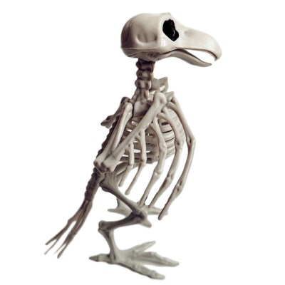 PVC Assembling Skeleton Simulation Bat Mouse Spider Crow