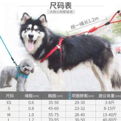 harness collar dog chain walk dog leash durable scottish